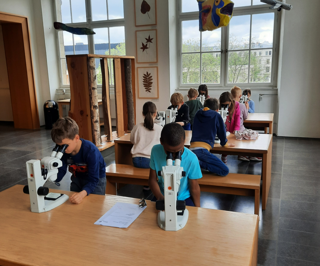 Beste Privatschule Wiesbaden – Individuelle Förderung & Werte